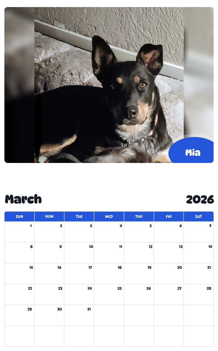 November 2025 - October 2026 Mia - Pawidols Pet Calendar