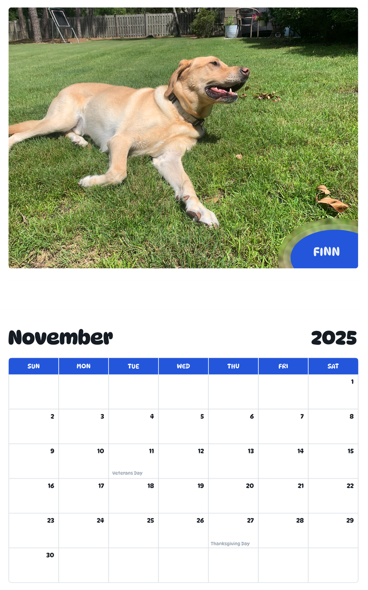 July 2025 - June 2026 Finn - Pawidols Pet Calendar