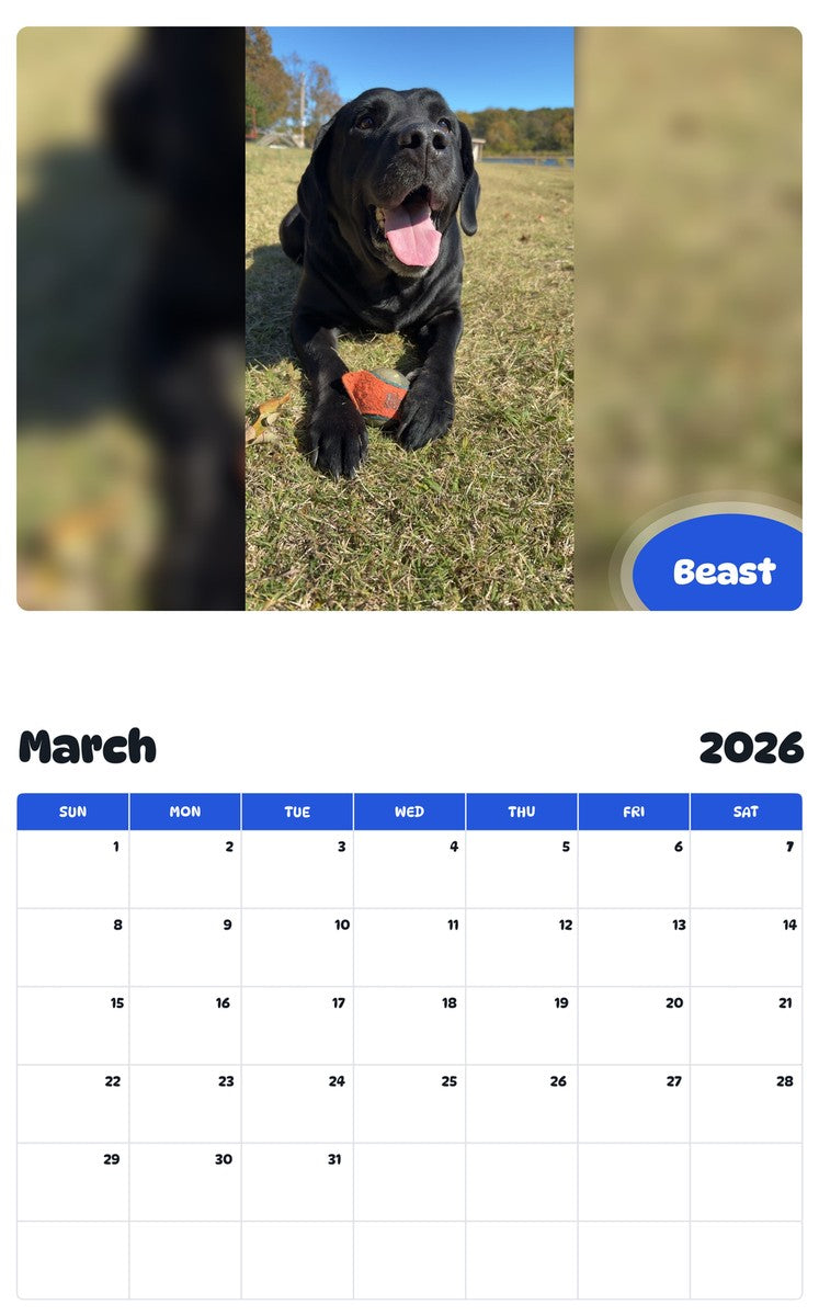 November 2025 - October 2026 Beast - Pawidols Pet Calendar