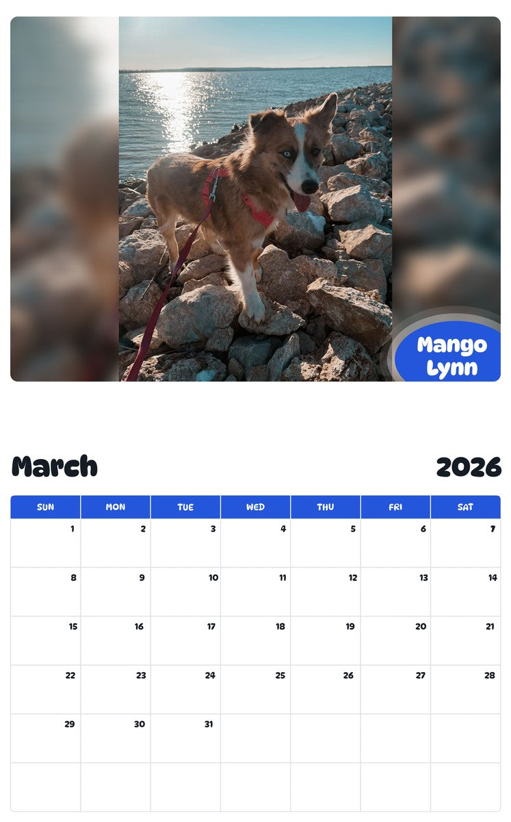 November 2025 - October 2026 Mango Lynn - Pawidols Pet Calendar