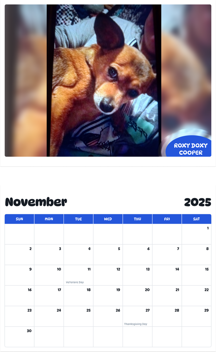 July 2025 - June 2026 Roxy doxy cooper - Pawidols Pet Calendar