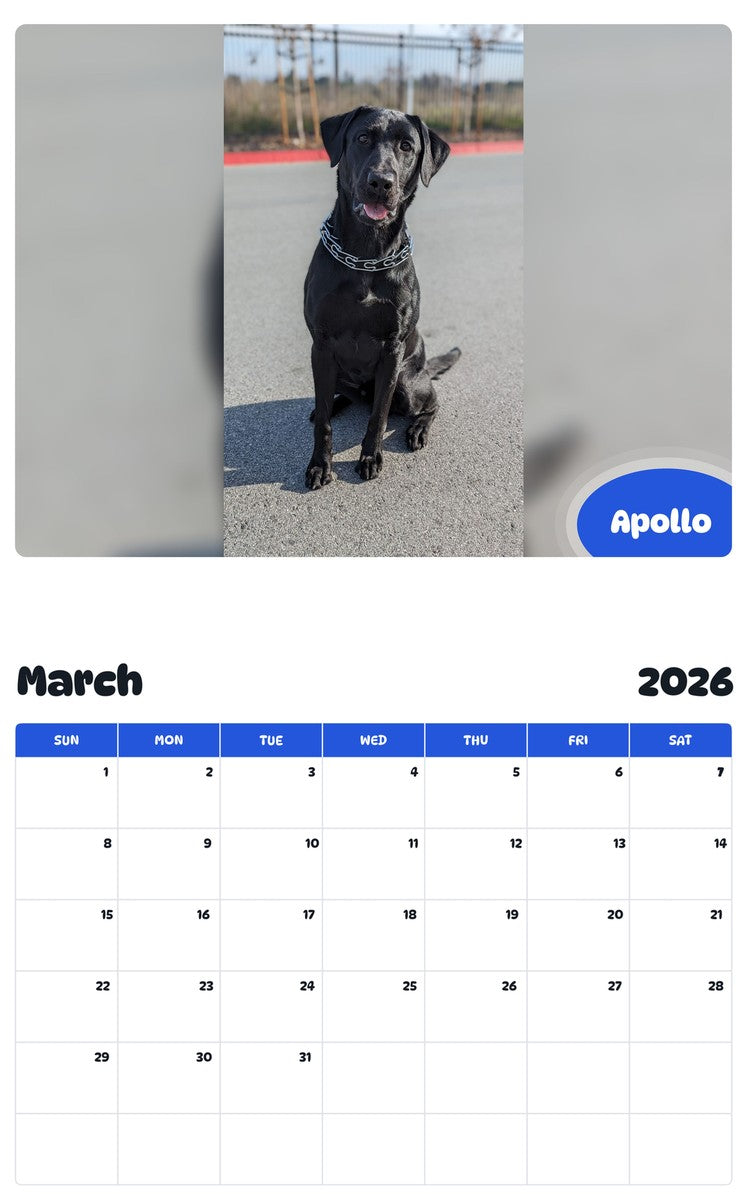 November 2025 - October 2026 Apollo - Pawidols Pet Calendar