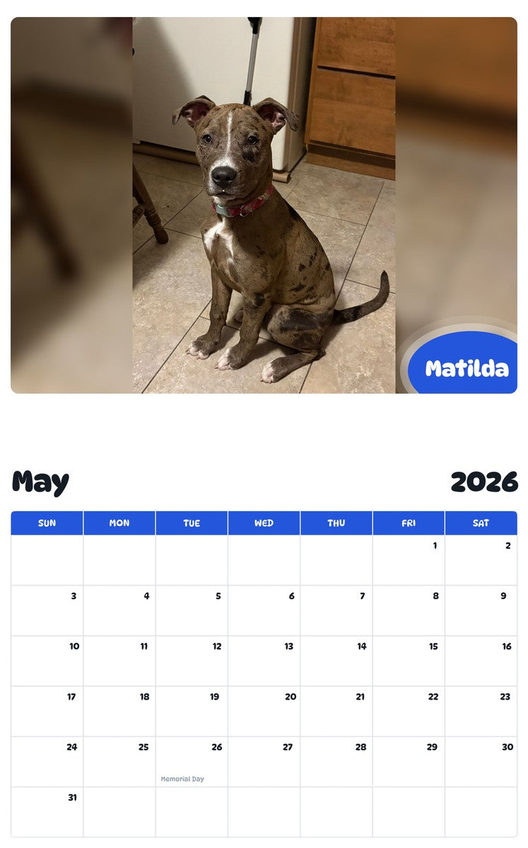2026 - 2027 Matilda - Pawidols Pet Calendar