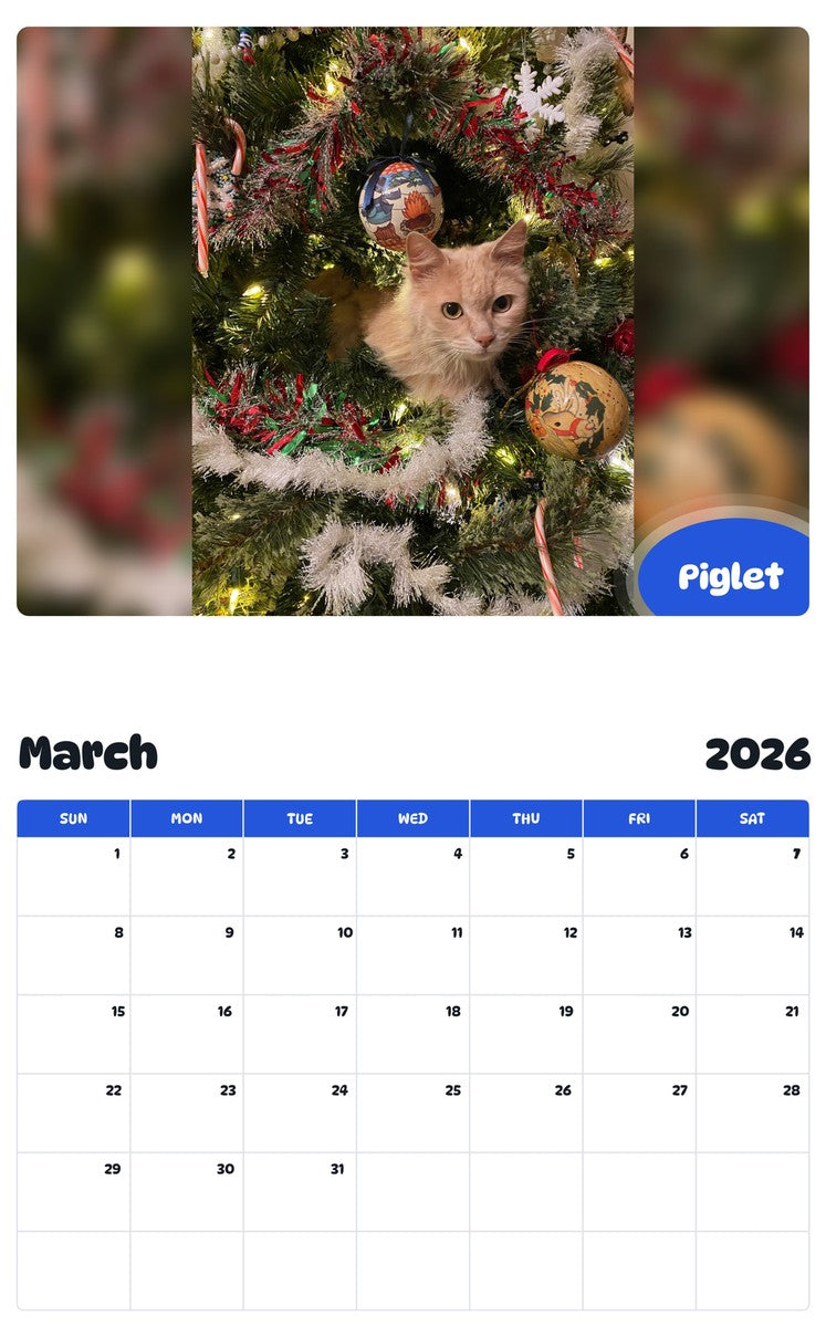 November 2025 - October 2026 Piglet - Pawidols Pet Calendar