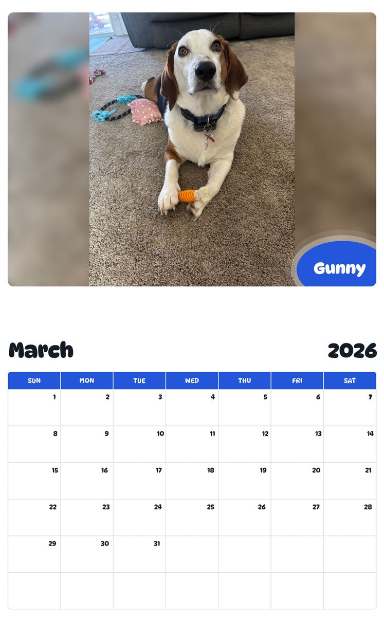 November 2025 - October 2026 Gunny - Pawidols Pet Calendar