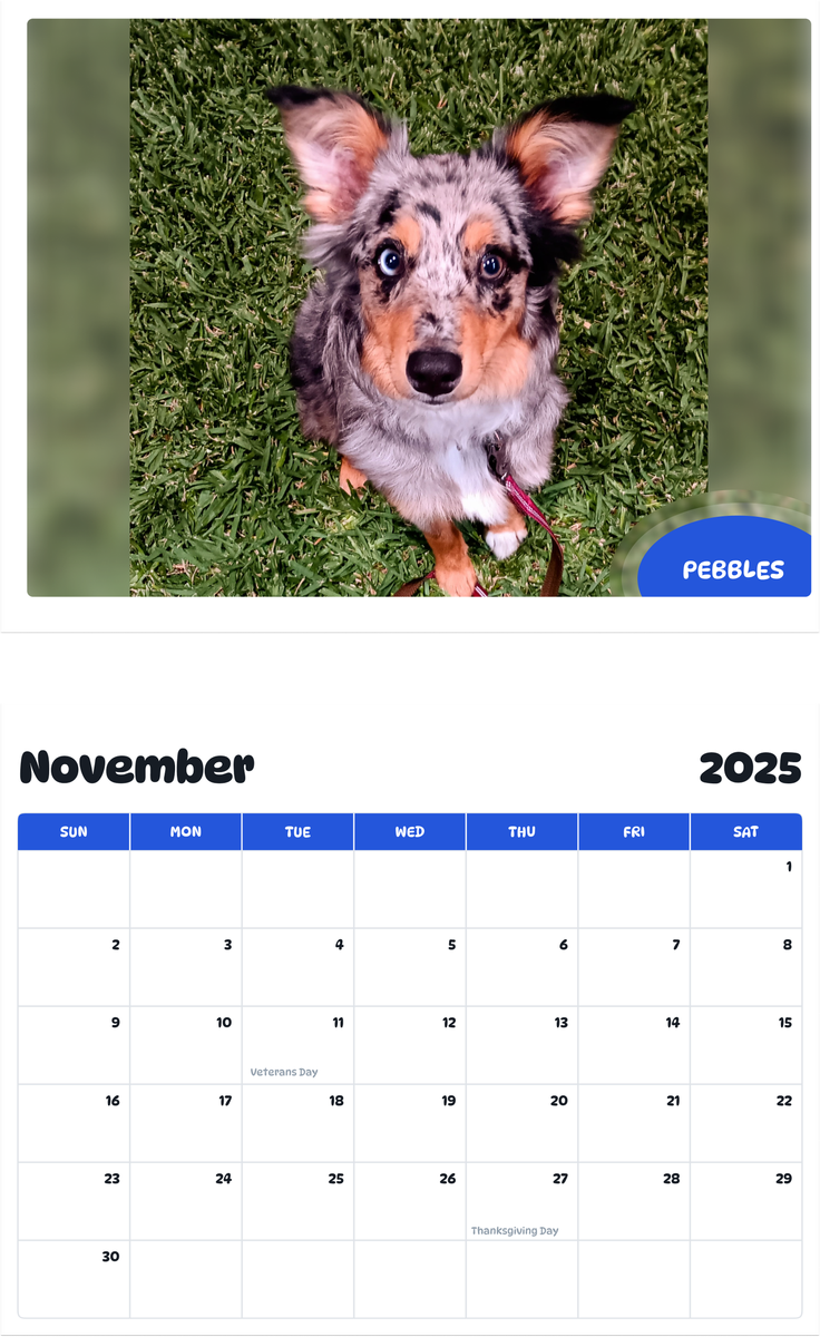 July 2025 - June 2026 Pebbles - Pawidols Pet Calendar