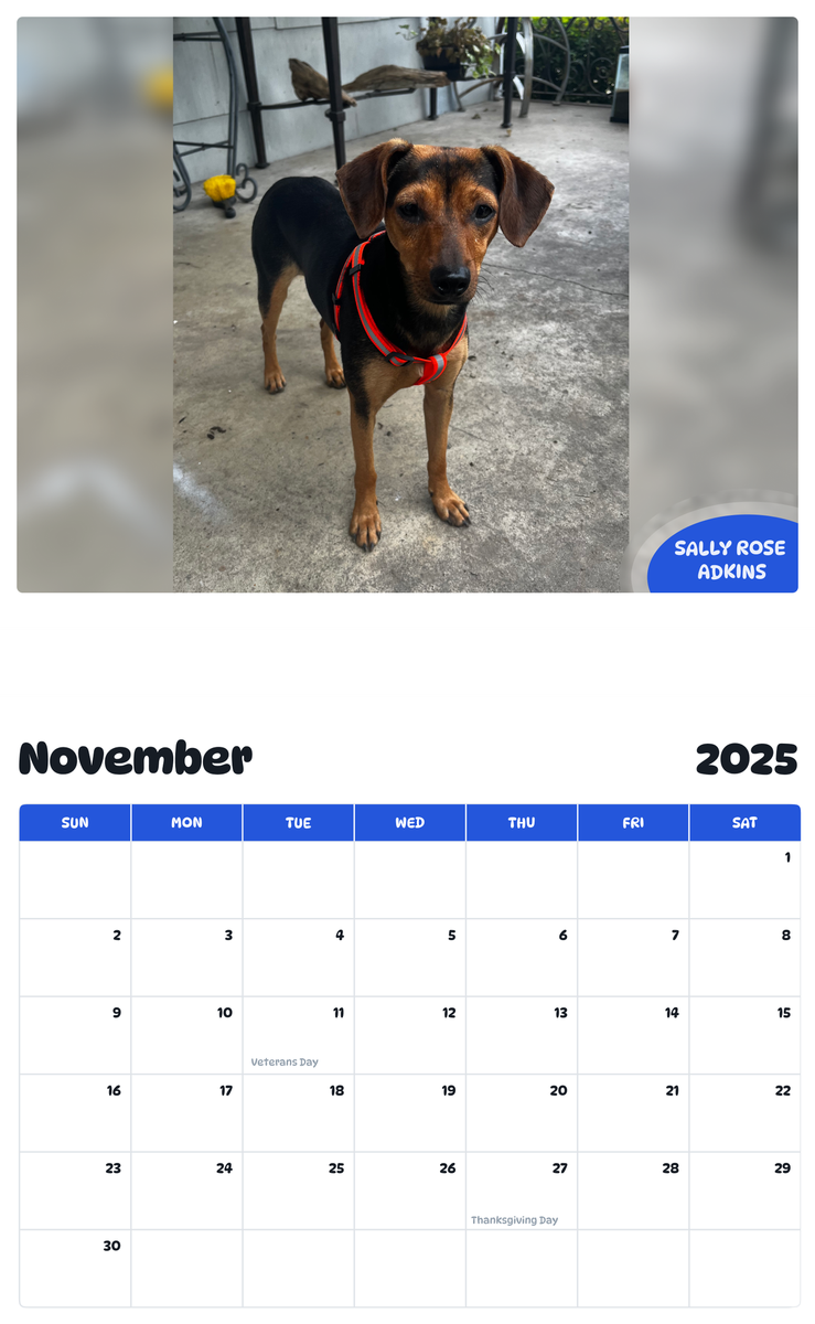 July 2025 - June 2026 Sally Rose Adkins - Pawidols Pet Calendar