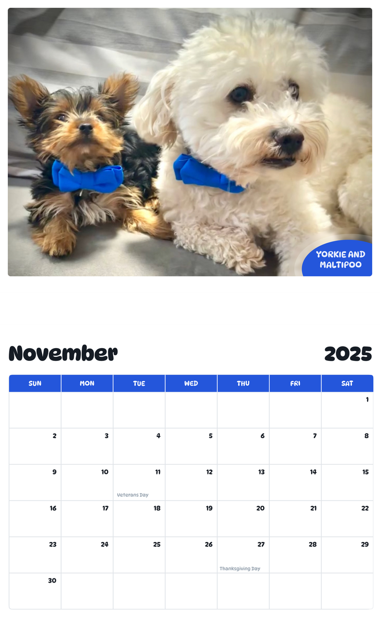 July 2025 - June 2026 Yorkie and maltipoo - Pawidols Pet Calendar