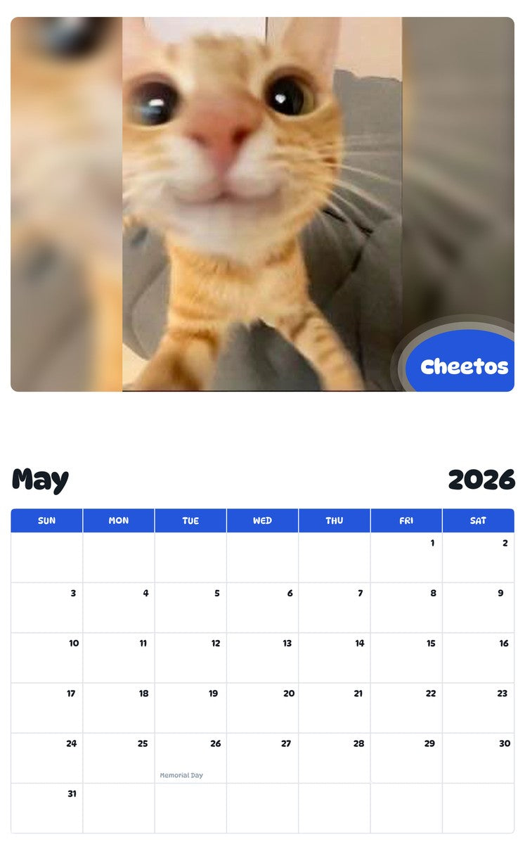 2026 - 2027 Cheetos - Pawidols Pet Calendar