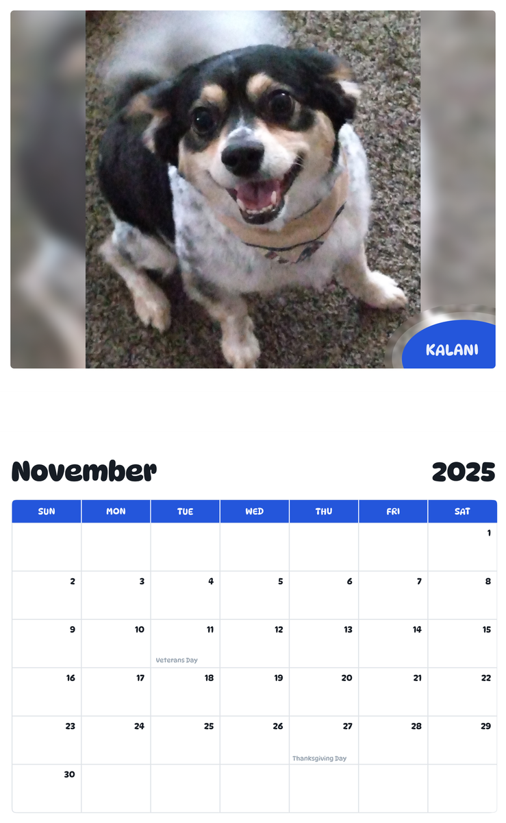 July 2025 - June 2026 Kalani - Pawidols Pet Calendar