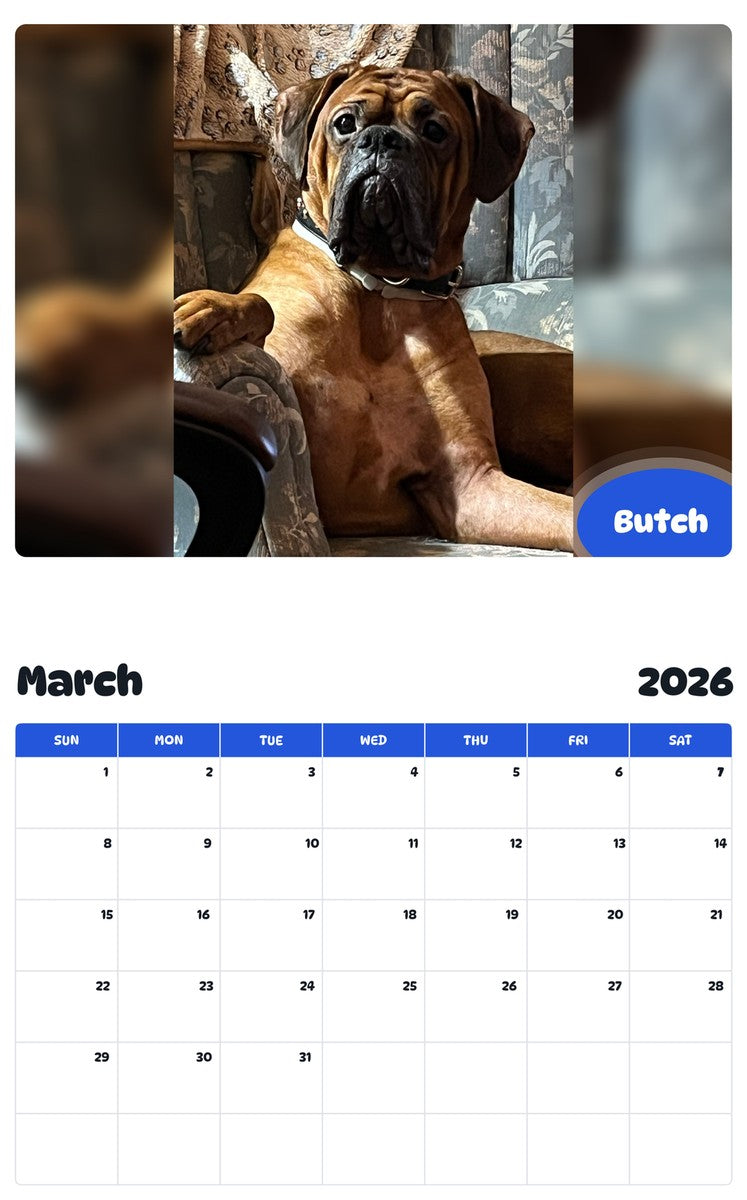 November 2025 - October 2026 Butch - Pawidols Pet Calendar
