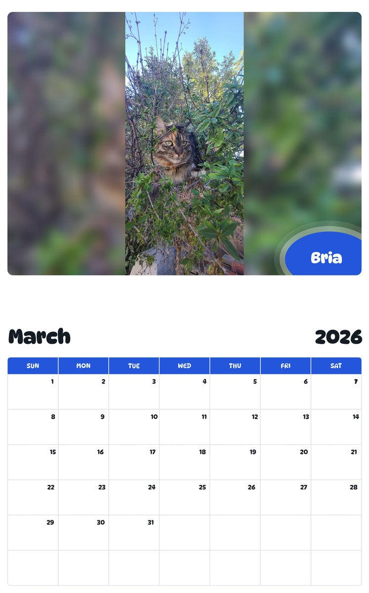 November 2025 - October 2026 Bria - Pawidols Pet Calendar