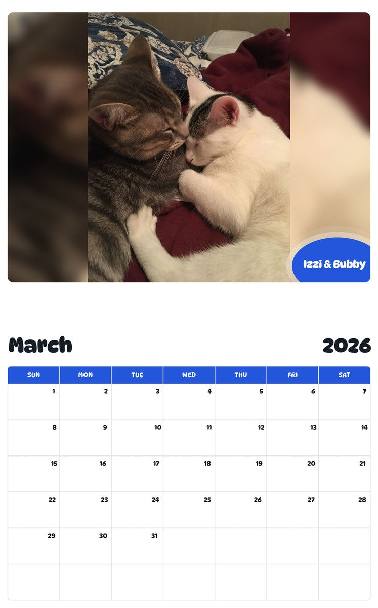 November 2025 - October 2026 Izzi & Bubby - Pawidols Pet Calendar