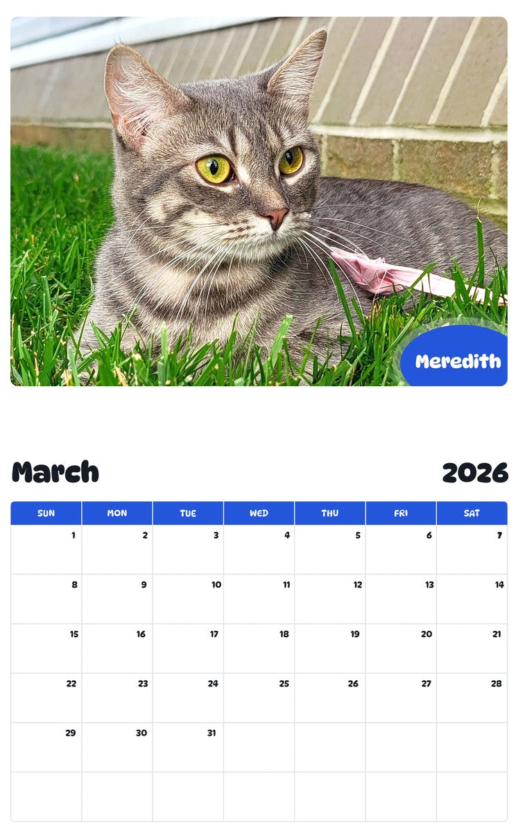 November 2025 - October 2026 Meredith - Pawidols Pet Calendar