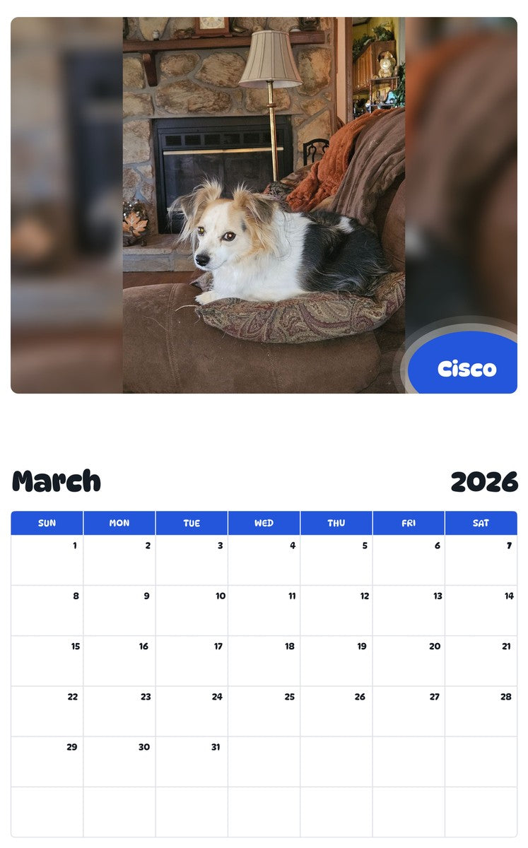 November 2025 - October 2026 Cisco - Pawidols Pet Calendar