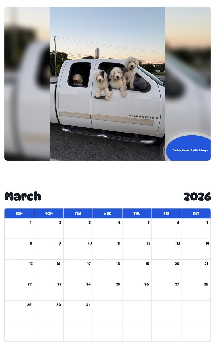 November 2025 - October 2026 Davina, ErnestT, Otis & Divya - Pawidols