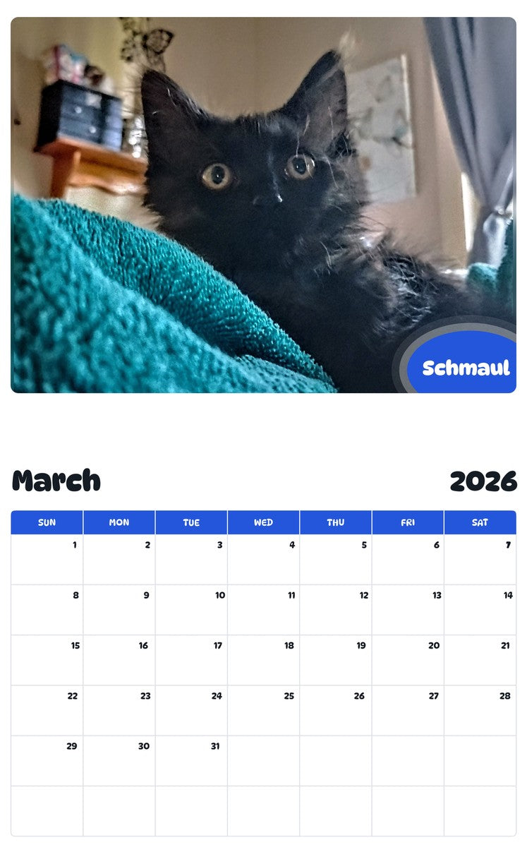 November 2025 - October 2026 Schmaul - Pawidols Pet Calendar