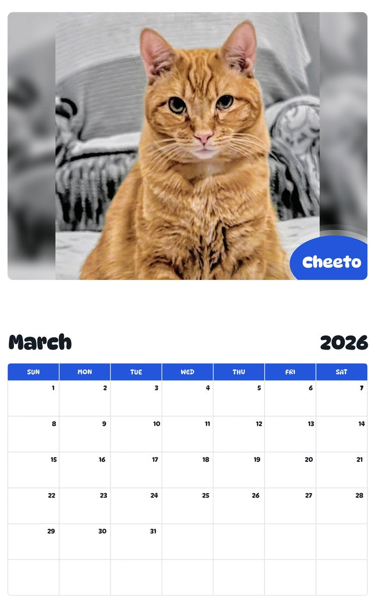 November 2025 - October 2026 Cheeto - Pawidols Pet Calendar