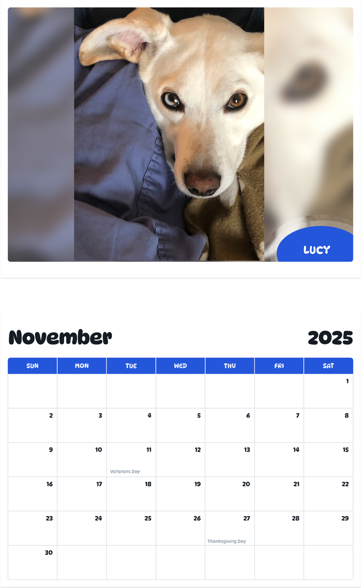 July 2025 - June 2026 Lucy - Pawidols Pet Calendar