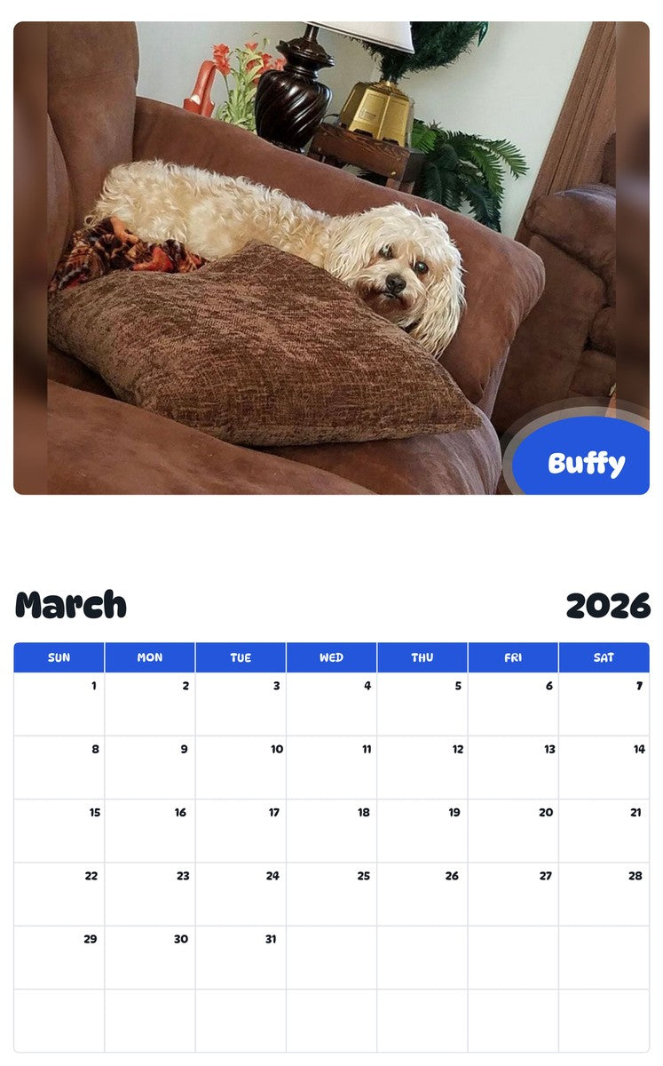 November 2025 - October 2026 Buffy - Pawidols Pet Calendar