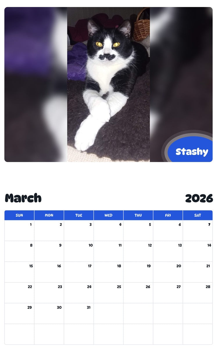 November 2025 - October 2026 Stashy - Pawidols Pet Calendar
