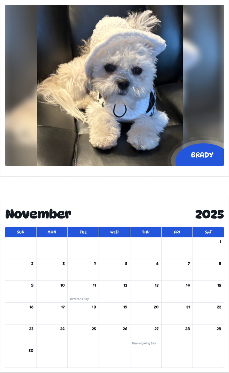 July 2025 - June 2026 Brady - Pawidols Pet Calendar