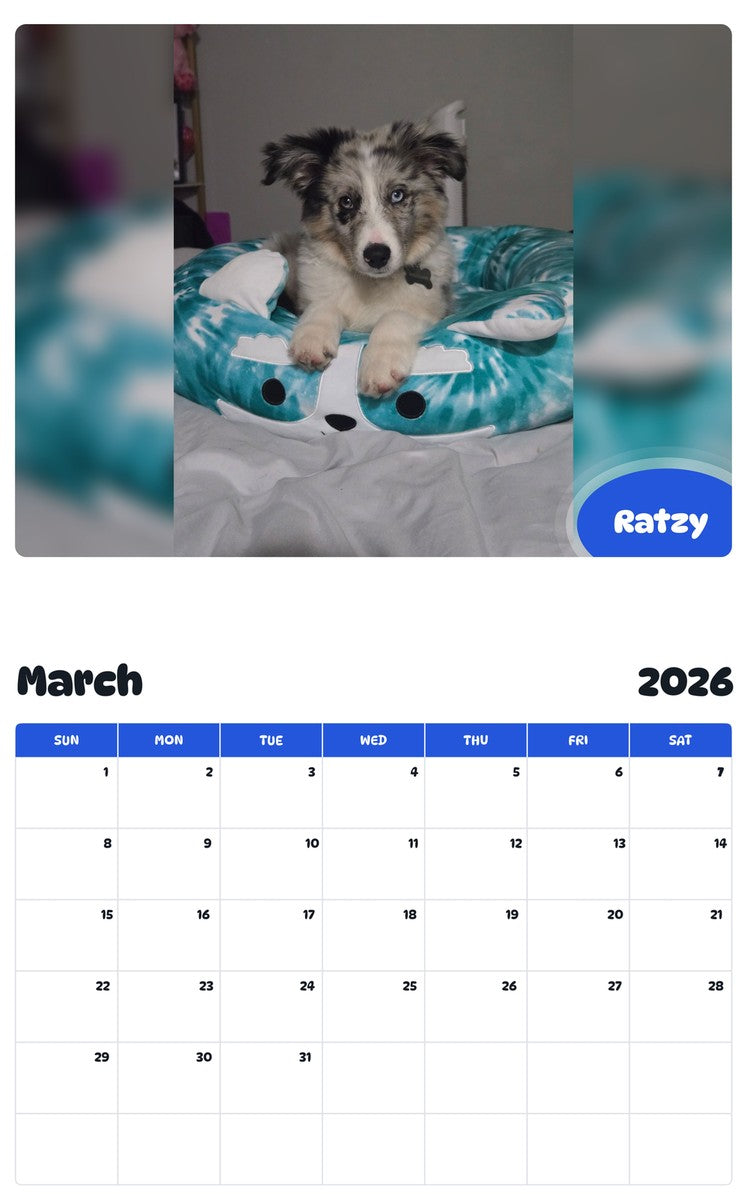 November 2025 - October 2026 Ratzy - Pawidols Pet Calendar