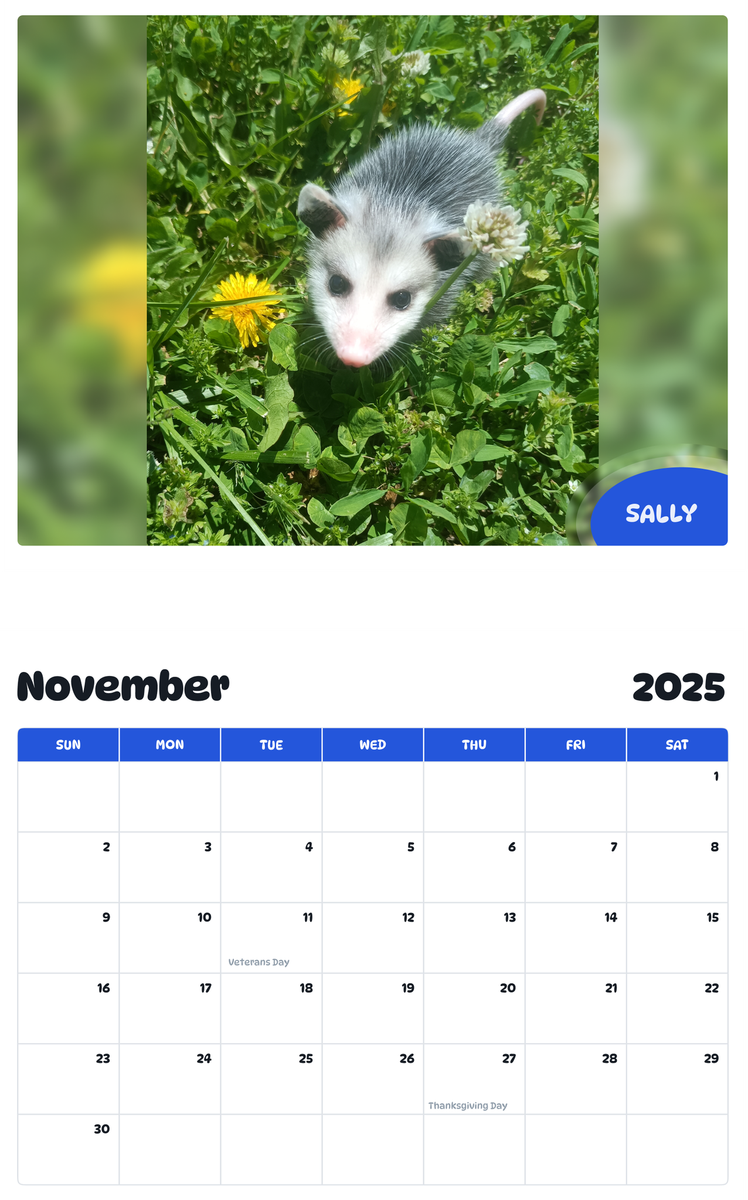 July 2025 - June 2026 Sally - Pawidols Pet Calendar