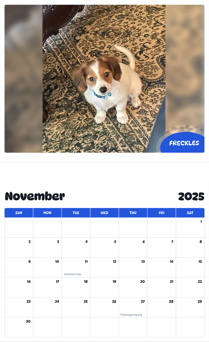July 2025 - June 2026 Freckles - Pawidols Pet Calendar