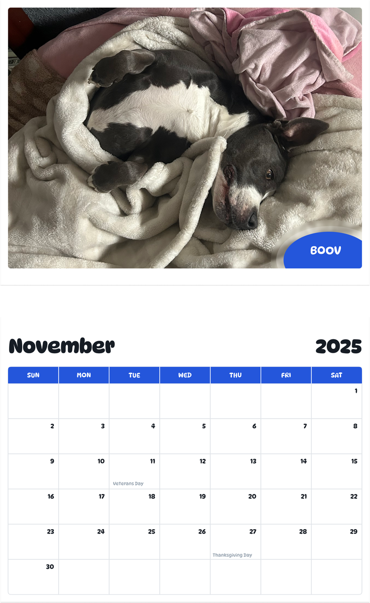 July 2025 - June 2026 boov - Pawidols Pet Calendar