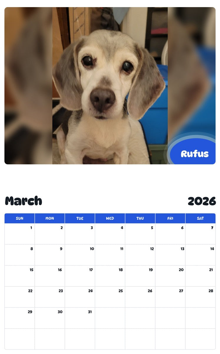 November 2025 - October 2026 Rufus - Pawidols Pet Calendar