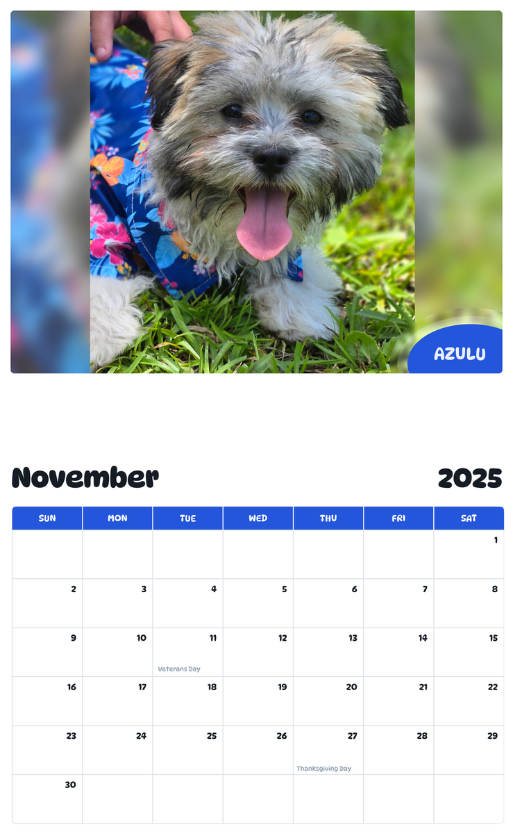 July 2025 - June 2026 Azulu - Pawidols Pet Calendar