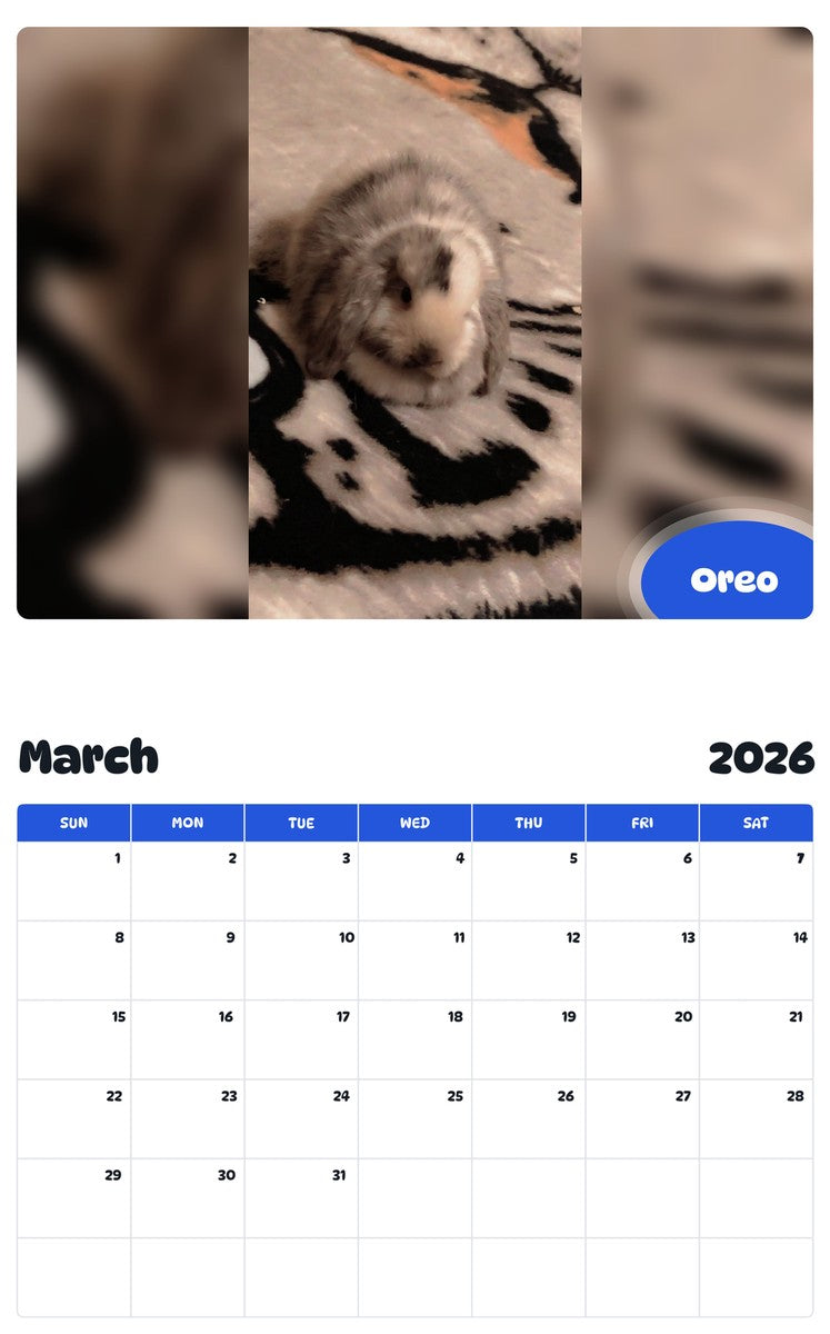 November 2025 - October 2026 Oreo - Pawidols Pet Calendar