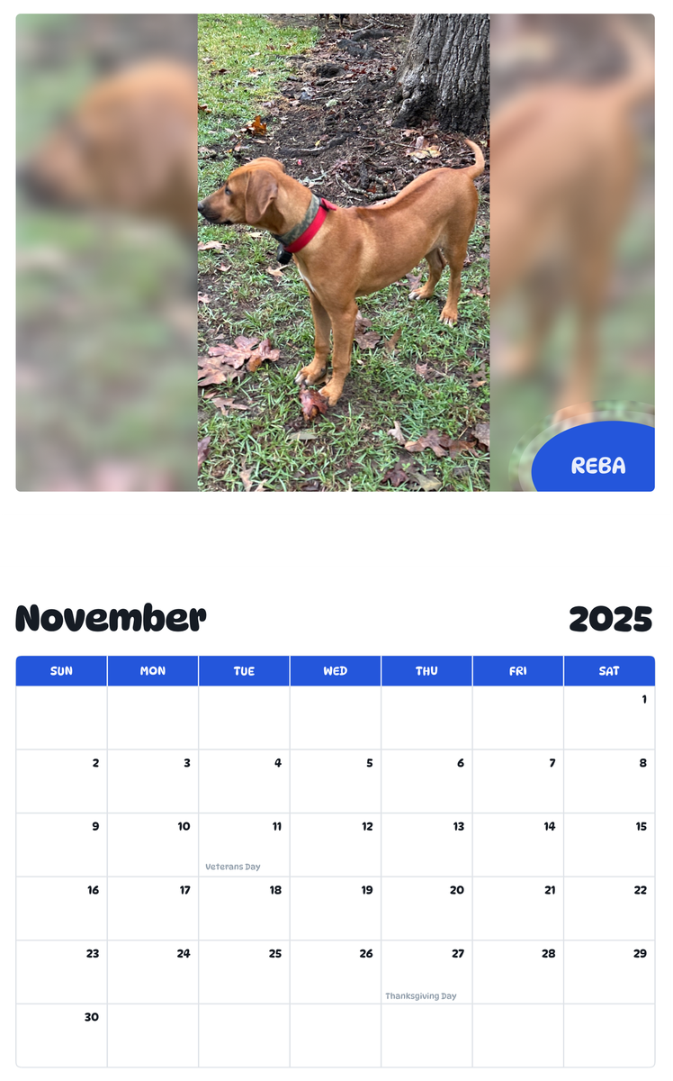 July 2025 - June 2026 Reba - Pawidols Pet Calendar