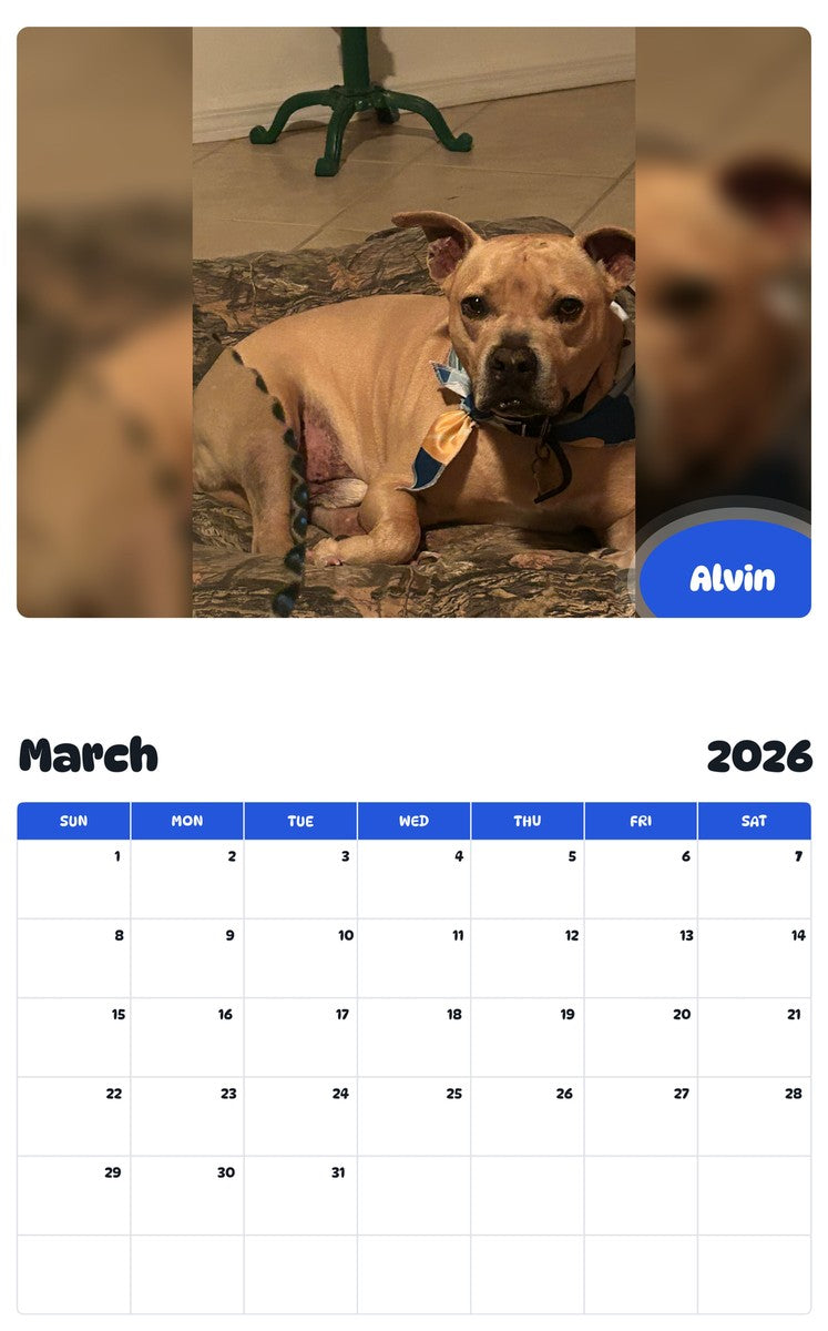 November 2025 - October 2026 Alvin - Pawidols Pet Calendar