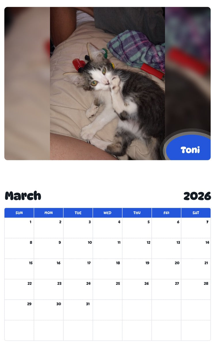November 2025 - October 2026 Toni - Pawidols Pet Calendar