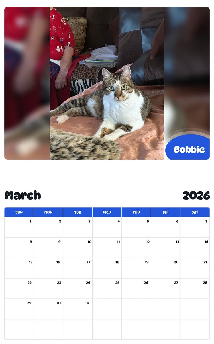 November 2025 - October 2026 Bobbie - Pawidols Pet Calendar