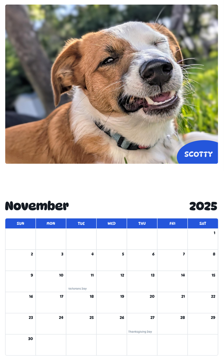 July 2025 - June 2026 Scotty - Pawidols Pet Calendar