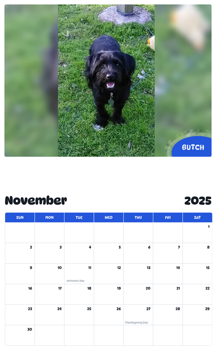 July 2025 - June 2026 Butch - Pawidols Pet Calendar