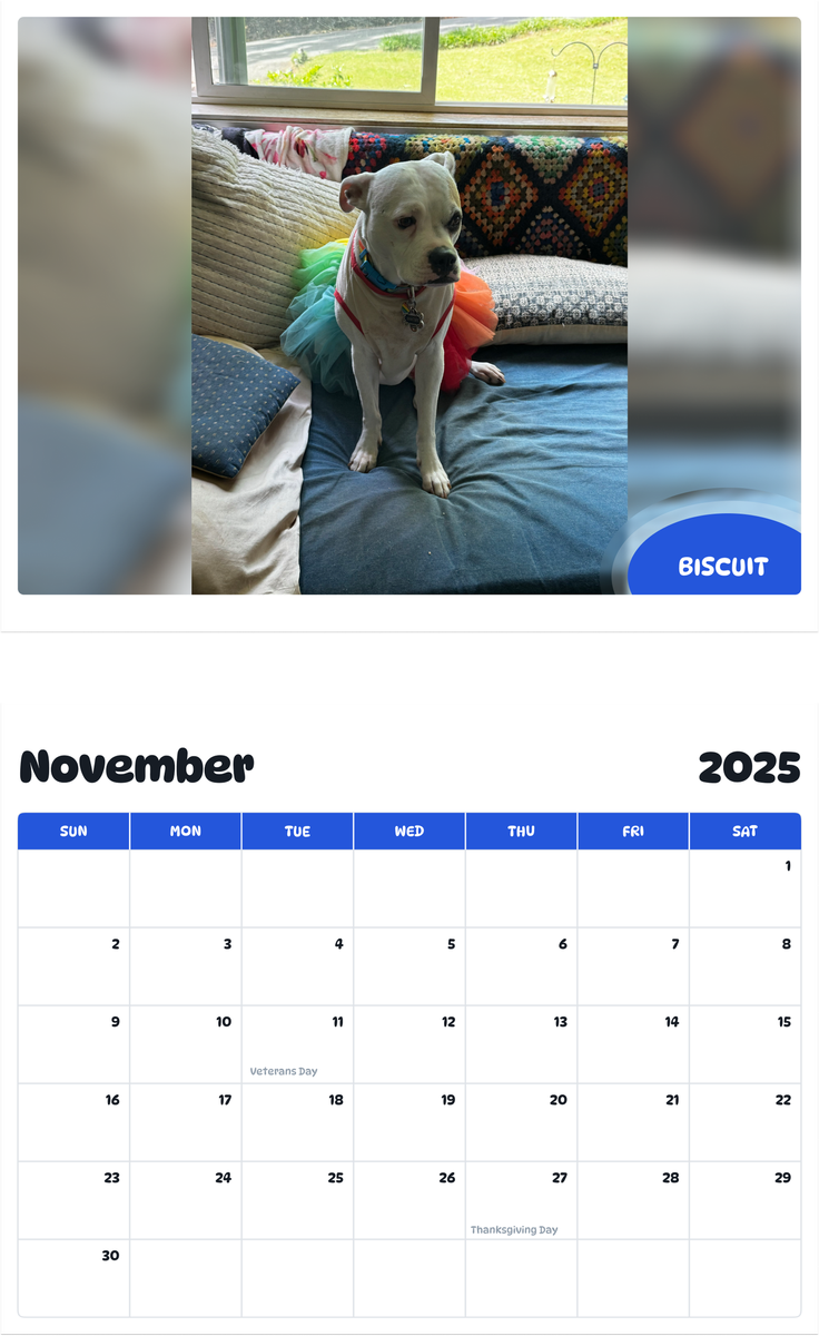 July 2025 - June 2026 Biscuit - Pawidols Pet Calendar