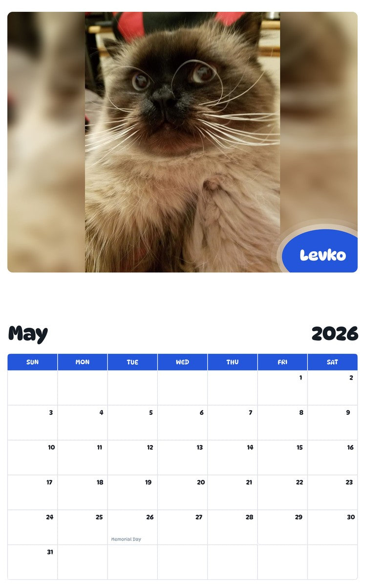 2026 - 2027 Levko - Pawidols Pet Calendar