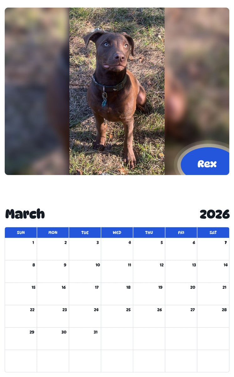 November 2025 - October 2026 Rex - Pawidols Pet Calendar