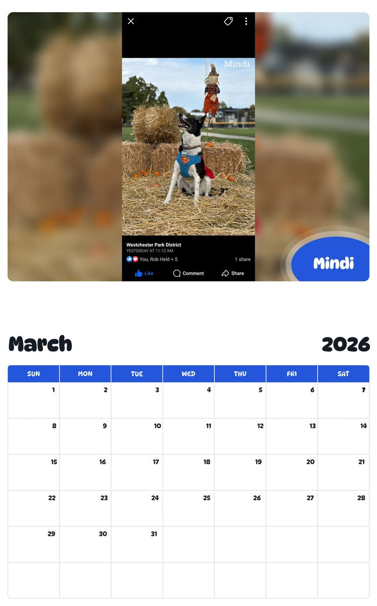 November 2025 - October 2026 Mindi - Pawidols Pet Calendar