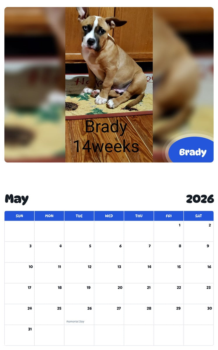 2026 - 2027 Brady - Pawidols Pet Calendar