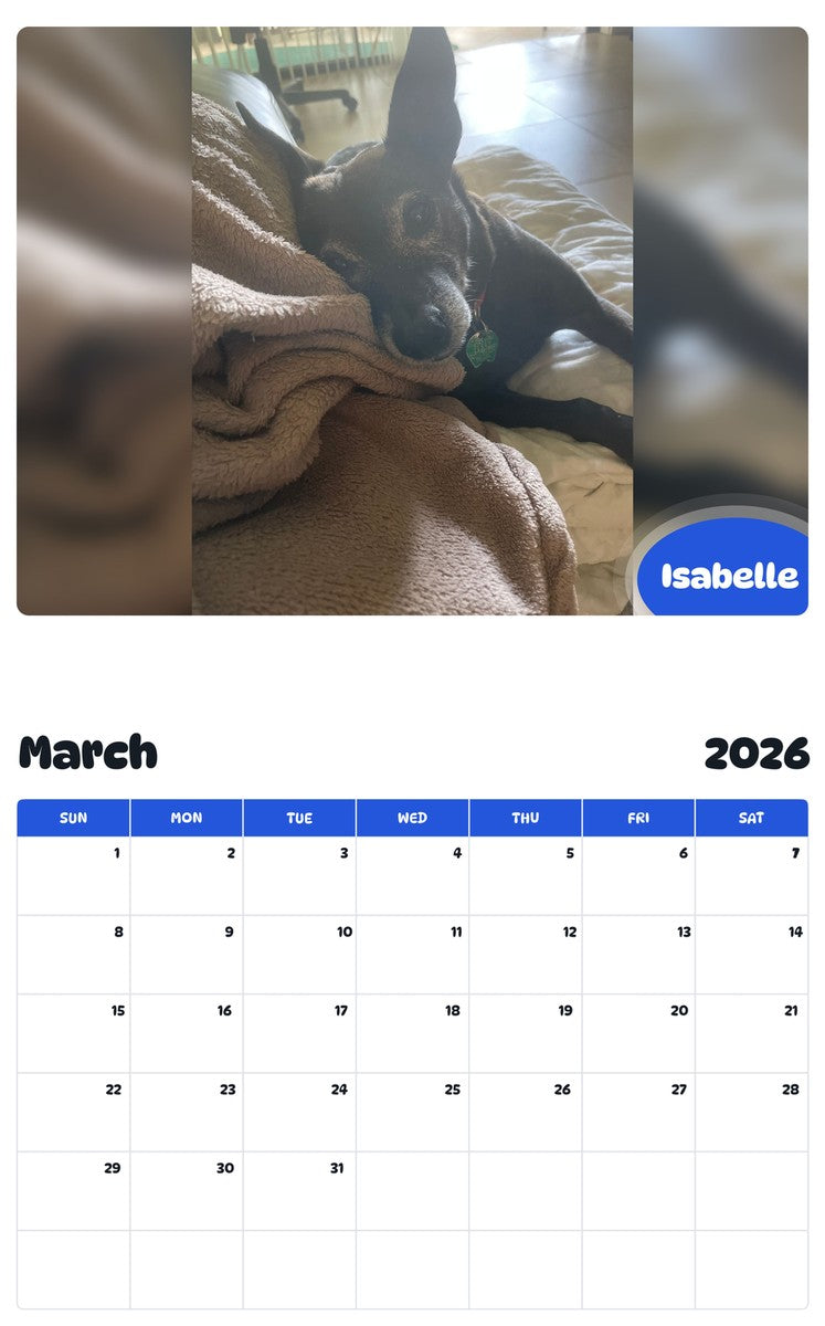 November 2025 - October 2026 Isabelle - Pawidols Pet Calendar