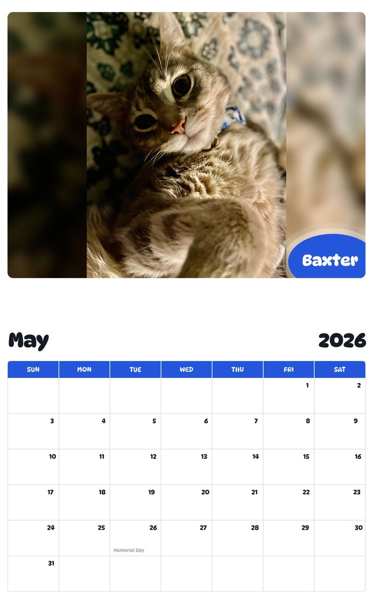 2026 - 2027 Baxter - Pawidols Pet Calendar