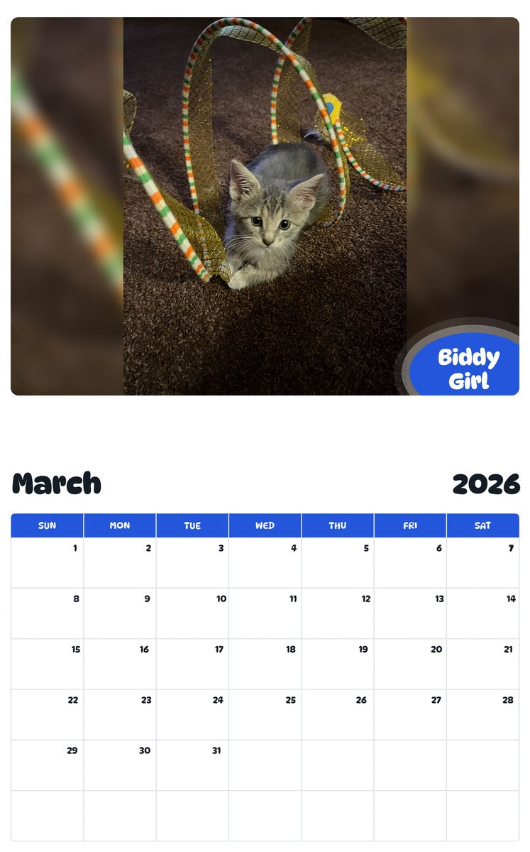 November 2025 - October 2026 Biddy Girl - Pawidols Pet Calendar