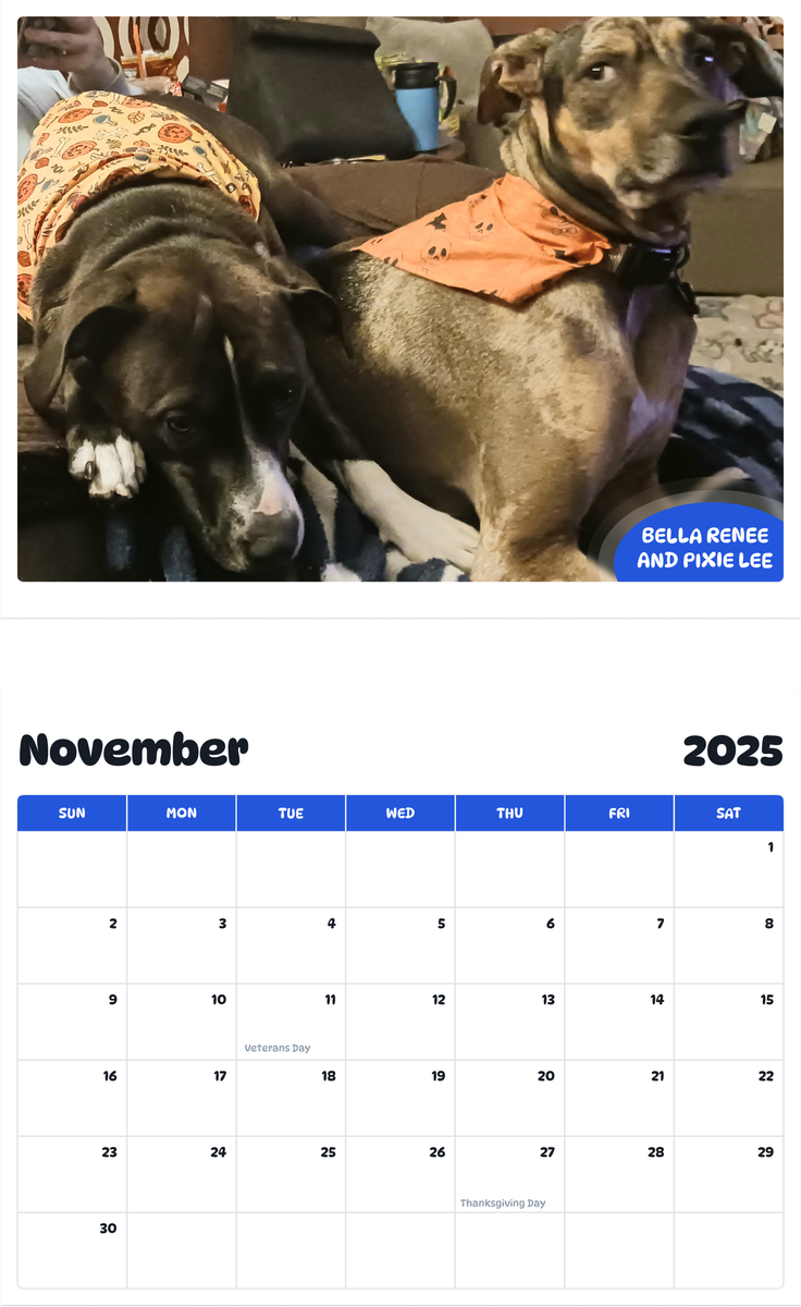 July 2025 - June 2026 Bella Renee and Pixie Lee - Pawidols Pet Calenda