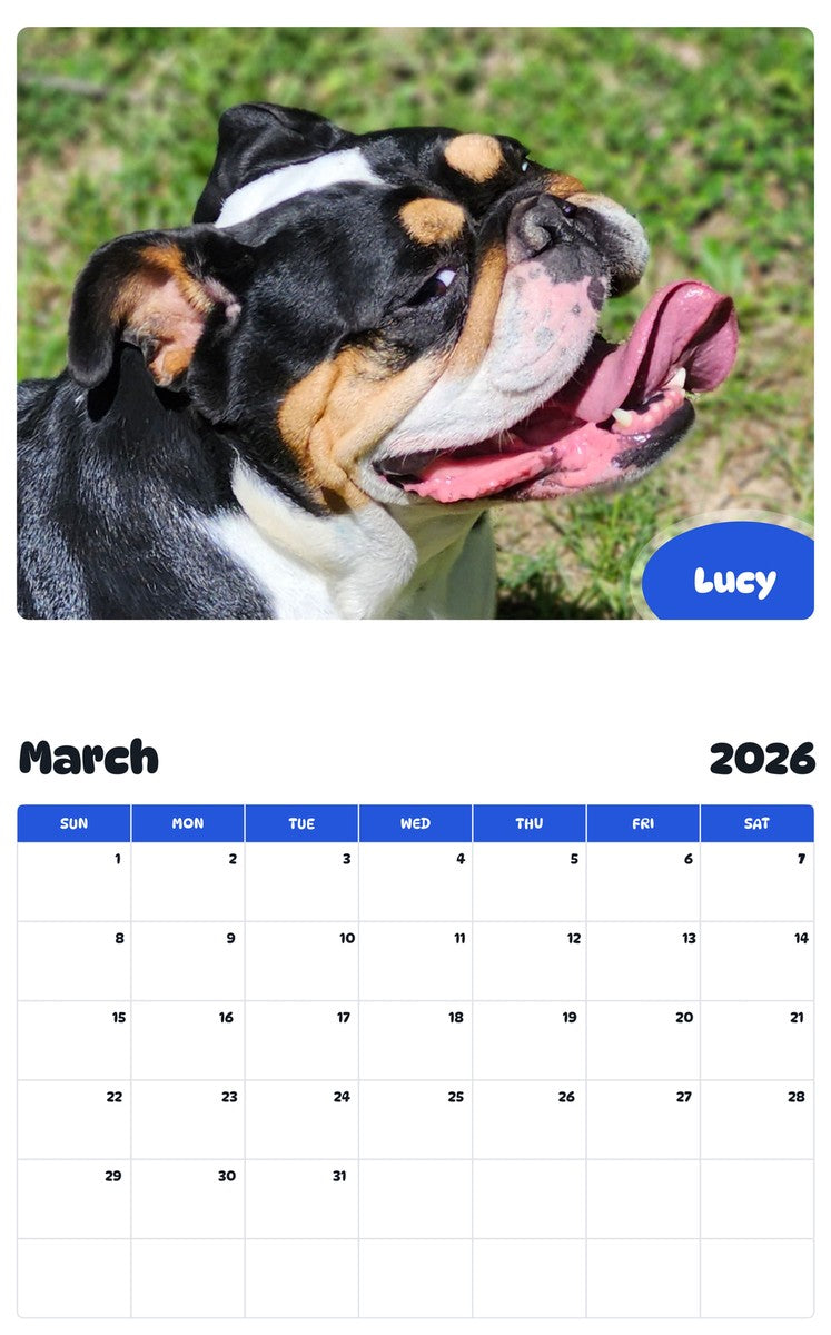November 2025 - October 2026 Lucy - Pawidols Pet Calendar