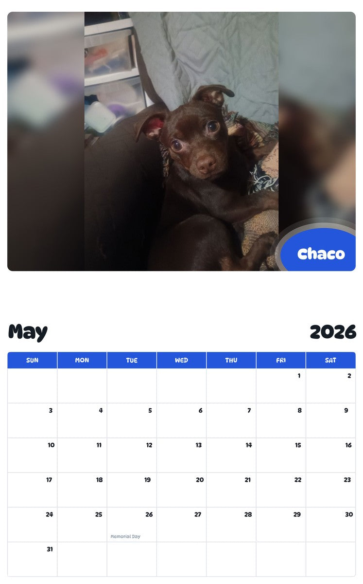 2026 - 2027 Chaco - Pawidols Pet Calendar